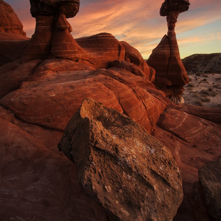 The Land – Charlie Borland Photography